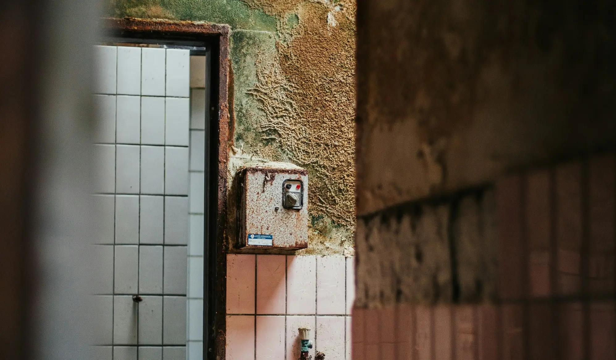 Mold Remediation In Rhode Island | Prime Restoration